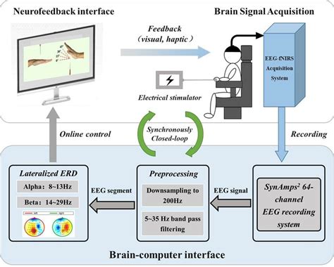 experimental system by bci based visual haptic nft [29] download