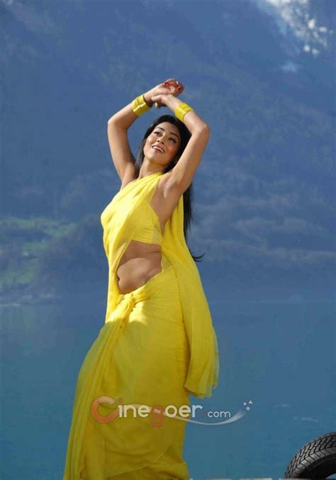 ปกพนในบอรด Arms