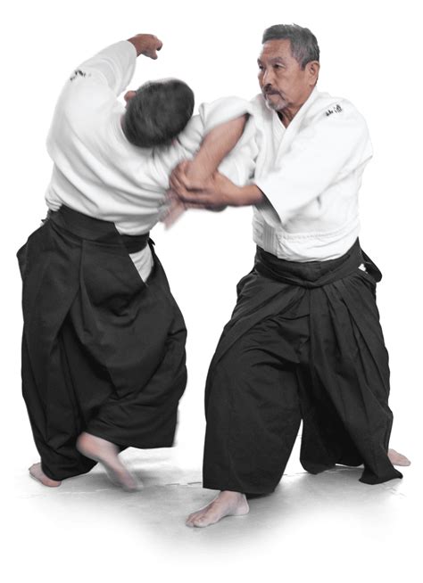 New Years Resolution Learn A Martial Art