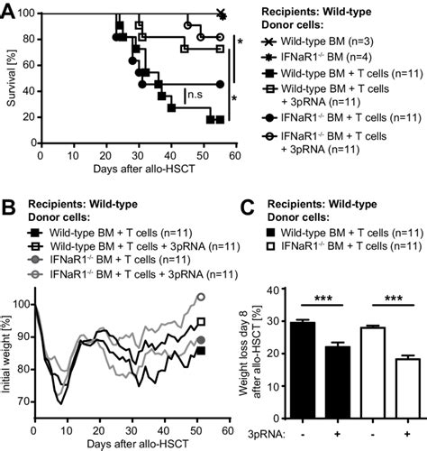 Type I Interferon Receptor Signaling In Donor T And Hematopoietic Cells Download Scientific