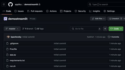 How To Deploy Your Streamlit Application On Your Server With A Custom Domain Url