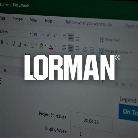 Microsoft® Excel® Formatting Issues And Techniques Ondemand Course Lorman Education Services