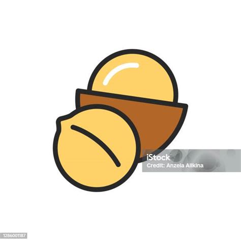 마카다미아 컬러 라인 아이콘 격리된 벡터 요소입니다 웹 페이지 모바일 앱 프로모션을 위한 그림 윤곽선 개념에 대한 스톡 벡터 아트 및 기타 이미지 Istock