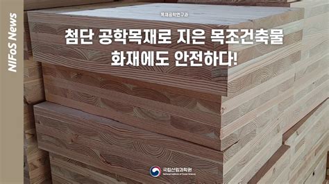 국립산림과학원 Nifosnews 내화 성능 강화된 국내산 공학목재 목조 아파트에도 적용 가능 국내산 첨단 공학목재인 구조용 집성재와 구조용 직교 집성판이