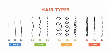 What Is 4c Hair Hair Care Guide To Coily Hair Types Hair Everyday Review