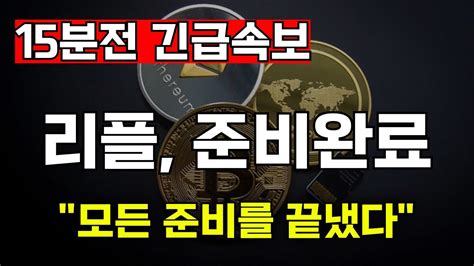 리플의 준비가 드디어 끝난 것 같습니다 이제부터 시작입니다 Youtube 리플의 준비가 드디어 끝난 것 같습니다 이제부터 시작입니다 Youtube