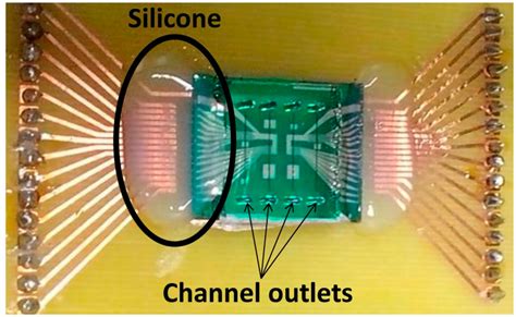 Sensors Special Issue Biomedical Sensors And Systems Sensors Special Issue Biomedical Sensors And Systems
