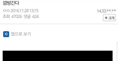 매형이 막내 여동생한테 대리 임신 부탁해서 감방 간 디시인