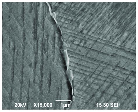 Deformation Twins At The Austenite Grain Boundaries Download