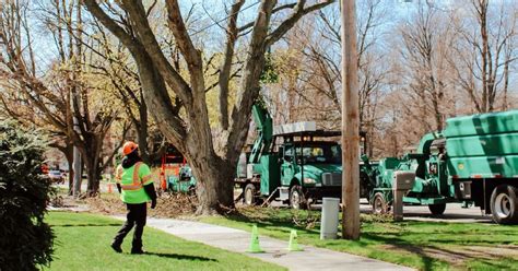 Integrity Tree Services On Linkedin Continuing Our Tree Mendous Work