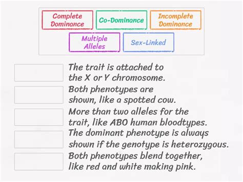 Identifying Inheritance Patterns Une Las Parejas