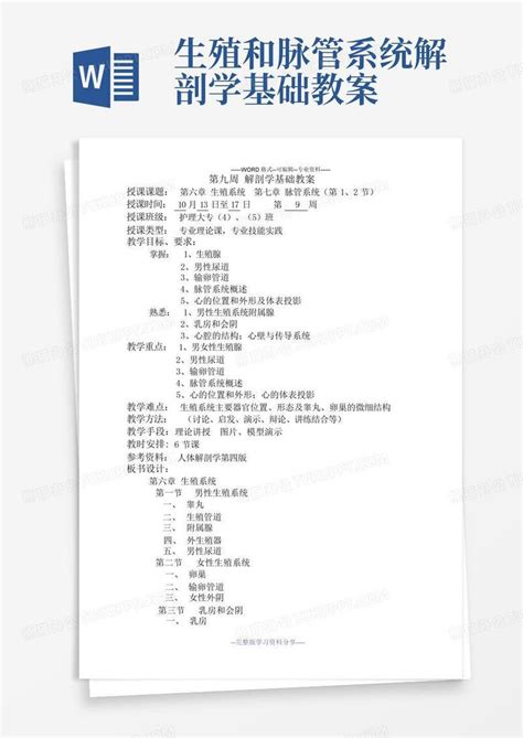 生殖和脉管系统解剖学基础教案Word模板下载 编号ljbvnajn 熊猫办公