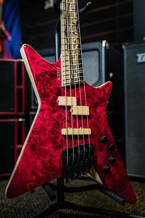 Kiesel Type X 5 String Multiscale Bass Reverb