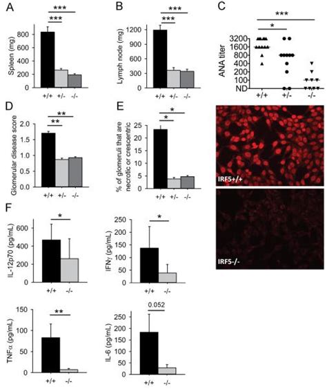 Irf5 Deficiency Ameliorates Lupus But Promotes Atherosclerosis And Metabolic Dysfunction In A
