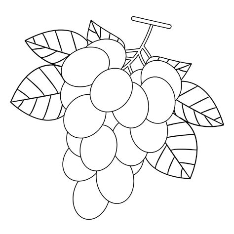 Dibujos De Uva Para Colorear E Imprimir Coloringlib