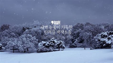 눈꽃이 가득한 산책길의 새벽 눈 내리는 소리 Youtube