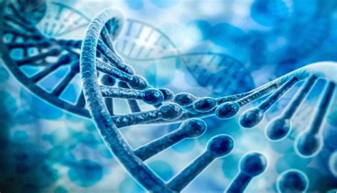 研发中心 中健联生物科技股份有限公司