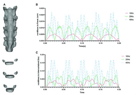 A The Finite Element Model Of Mouse Lumbar Spine L4 L6 B The Von Download Scientific