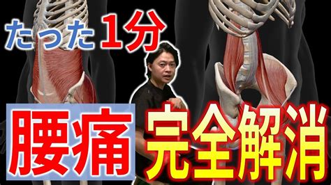 腰痛を1分で治す方法を分かりやすく解説！誰もがすぐに実践できる簡単な解消方法を伝授 Youtube