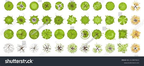 Autumn Tree Top View Over 1 668 Royalty Free Licensable Stock Vectors And Vector Art Shutterstock