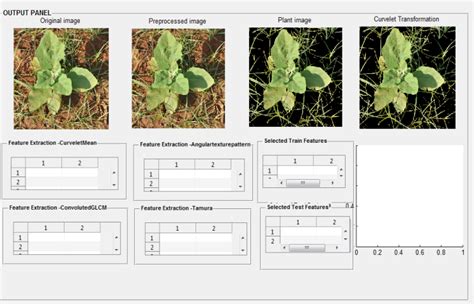 Gui Image For Curvelet Transformation Process Download Scientific Diagram