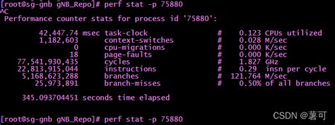 perf stat的使用 csdn博客