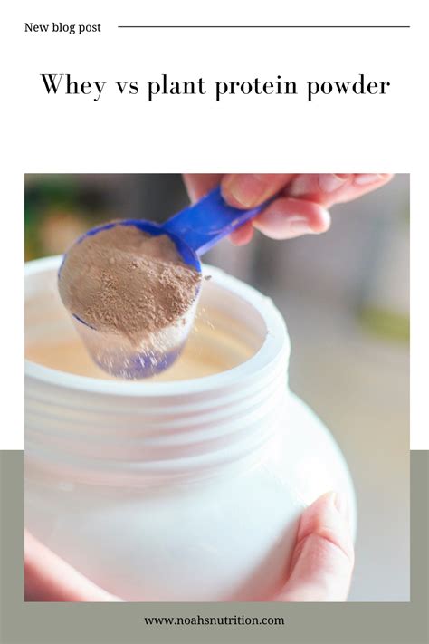 Whey Vs Plant Protein The Pros And Cons In 2023 Plant Protein Plant Protein Powder Whey