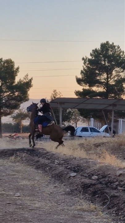 چشم اندازی شجاعت دختران اسب سوار و کماندار سواربراسب Youtube