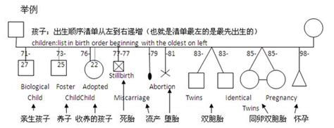 家谱图 家庭治疗家庭冯巩家图大山谷图库