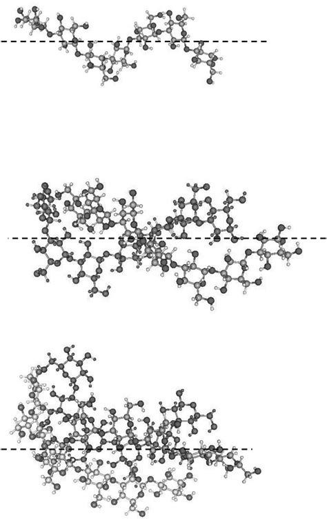 Monomeric Dimeric And Trimeric Structures Of β 1→3 Heptaglucoside Download Scientific