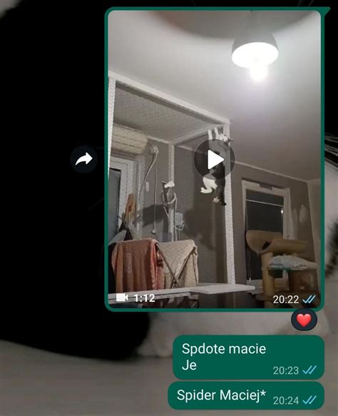 Had A Stroke While Talking With My Friend R Ihadastroke