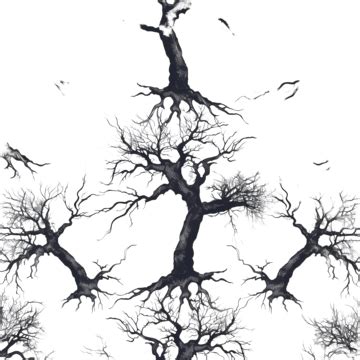 Roots PNG Vector PSD And Clipart With Transparent Background For Free Download Pngtree