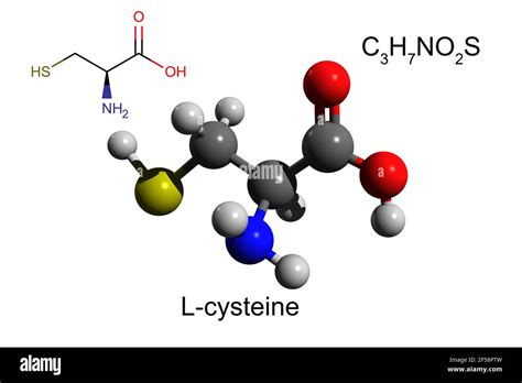Cysteine Structural Formula
