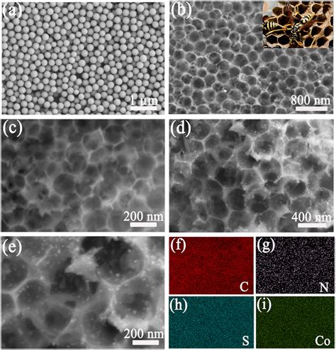 Typical SEM Images Of The Smaples A SiO2 Nanospheres B C NSC 900 D