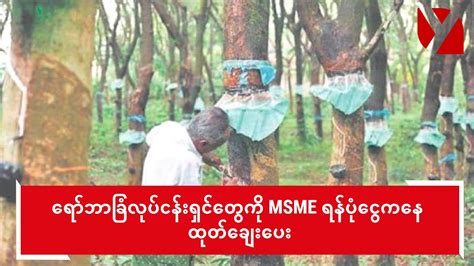 ရော်ဘာခြံလုပ်ငန်းရှင်တွေကို Msme ရန်ပုံငွေကနေ ထုတ်ချေးပေး Youtube