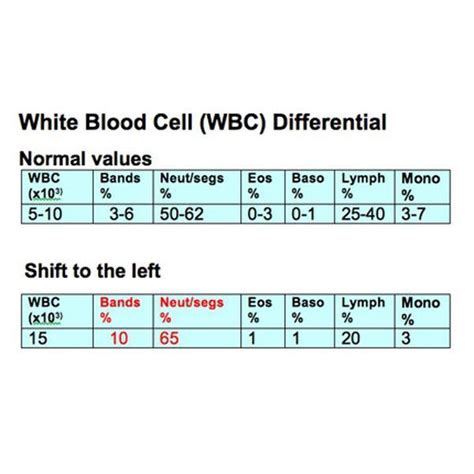 Neutrophils Normal Range Percentage Claudiakneebone