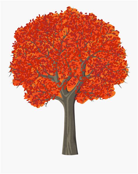 Red Maple Tree Drawing Free Transparent Clipart ClipartKey