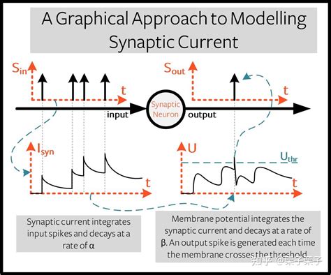 白话脉冲神经网络（5）：二阶脉冲神经元模型 知乎