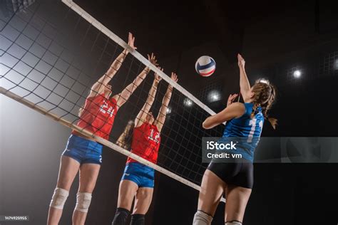 공을 던지는 여자 배구 선수 배구에 대한 스톡 사진 및 기타 이미지 배구 배구공 코트 스포츠 경기장 Istock