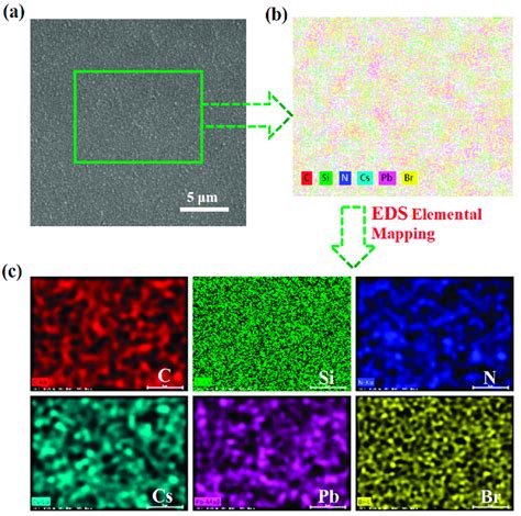 A Sem Image Of The Cspbbr3 Qds A Sicxny H Nanocomposite Thin Film Download Scientific