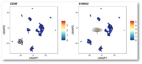 （视频教程）单细胞marker基因展示值等高线密度图如何基因的umap映射图 Csdn博客