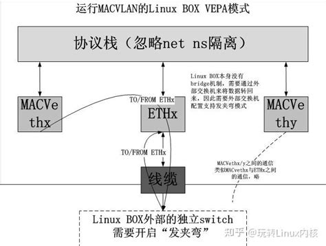 图解并茂 Linux中常用的虚拟网卡 知乎