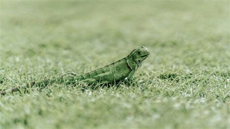 Cathartic Computing Club Newsletter September 2024