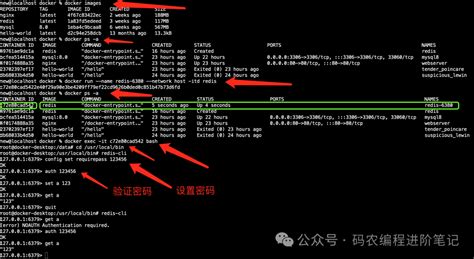 Docker安装redis并启动设置密码docker Redis 设置密码 Csdn博客 Docker安装redis并启动设置密码docker Redis 设置密码 Csdn博客