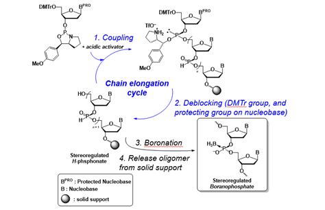 Stereo Controlled Synthesis Of Boranophosphate Oligomer│レナセラピューティクス株式会社