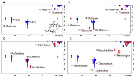 1h 13c Hsqc Nmr Spectra Of The Reaction Mixture Of Transglycosylation Download Scientific