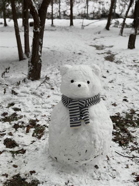 거실에서 딱보이는 위치에 곰도리눈사람 만들었다twt 인스티즈instiz 이슈 카테고리