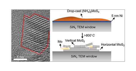 The Effect Of Nickel On Mos2 Growth Revealed With In Situ Transmission