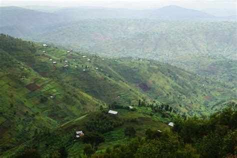 Geology For Global Development Guest Blog Could Agroforestry Do More To Protect Rwandans From