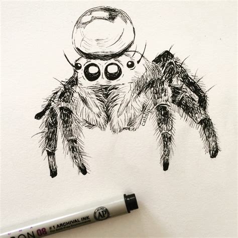 Cute Jumping Spider Water Drop